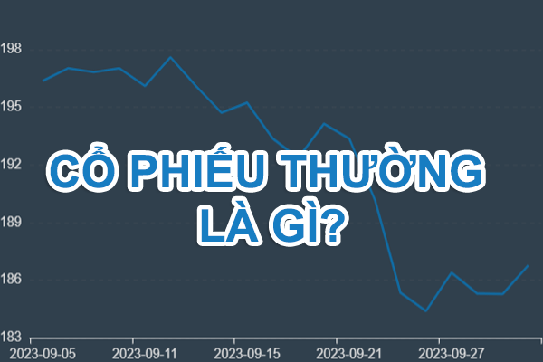 Cổ phiếu thường (cổ phiếu phổ thông) là gì?